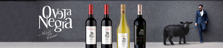 Soldo – Soldo Hnos.